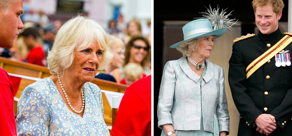 Queen Camilla was reportedly "outraged" by Prince Harry's visit to his ...