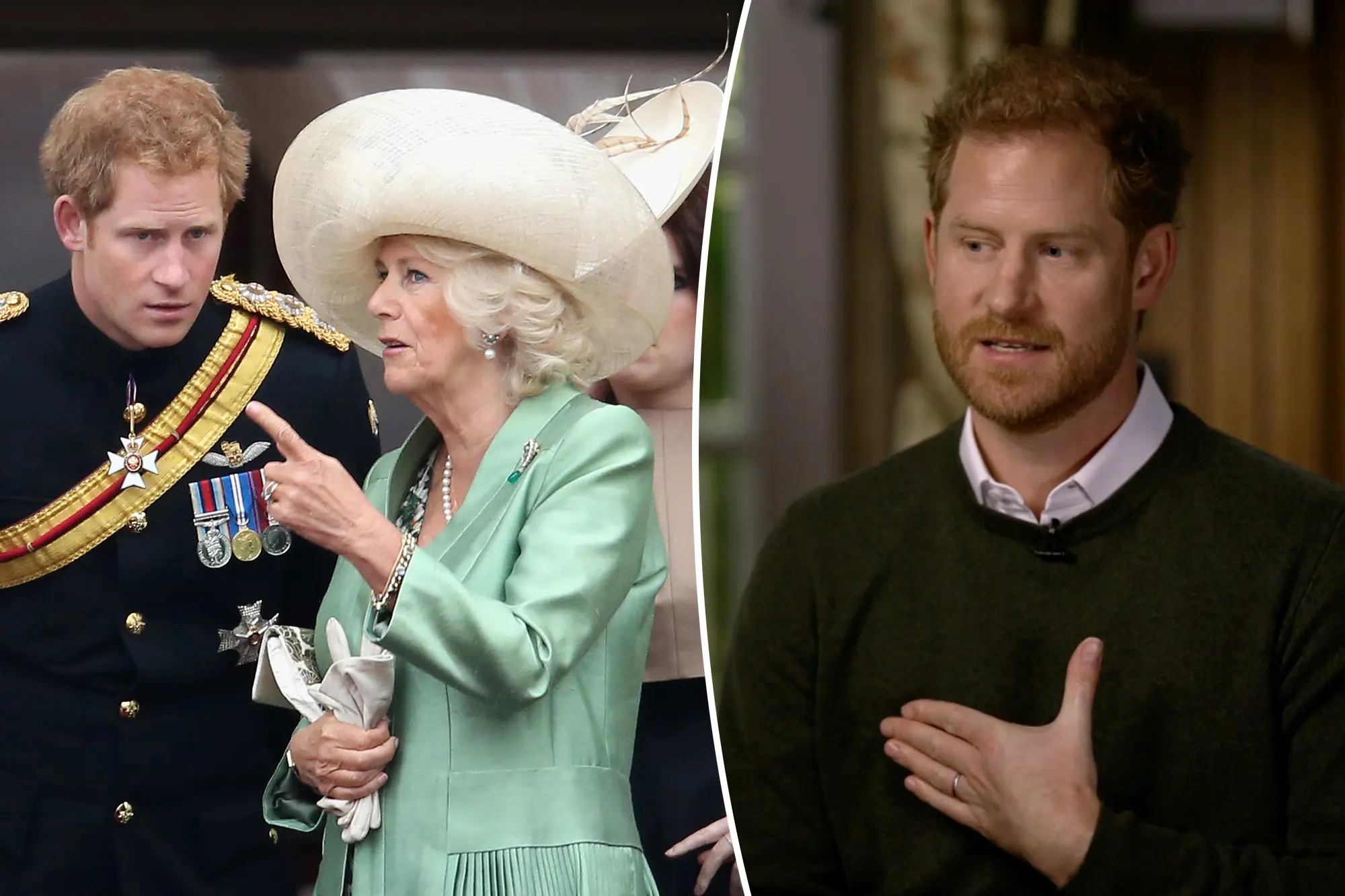 Prince Harry's Complicated Relationship with Queen Camilla - MyDailyPost