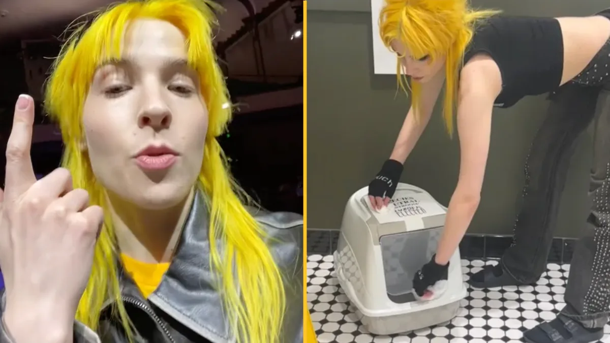 Controversial Art: Artist Places Litter Boxes in Restrooms - MyDailyPost
